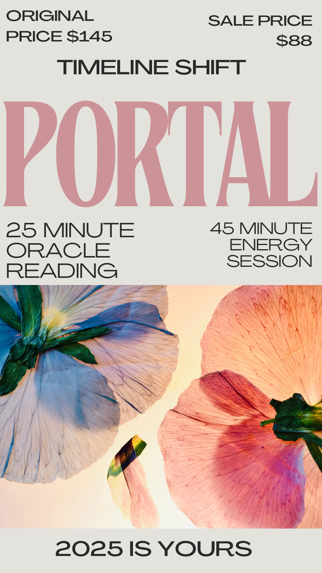 Timeline Shift Portal Package – monarchdreamco